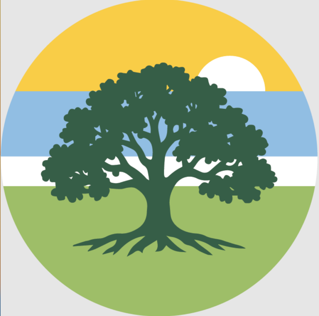 Community Groups Rebuilding Pacific Palisades After Wildfires